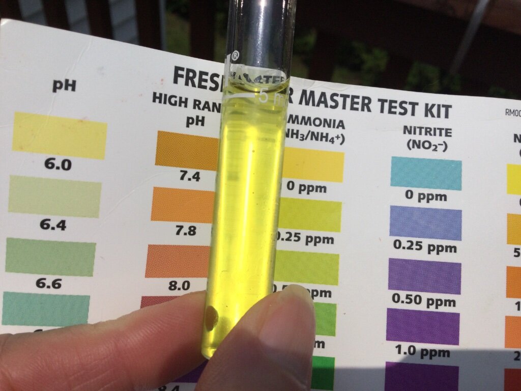 API Master Freshwater Test Kit versus API Test Strip Accuracy - General ...