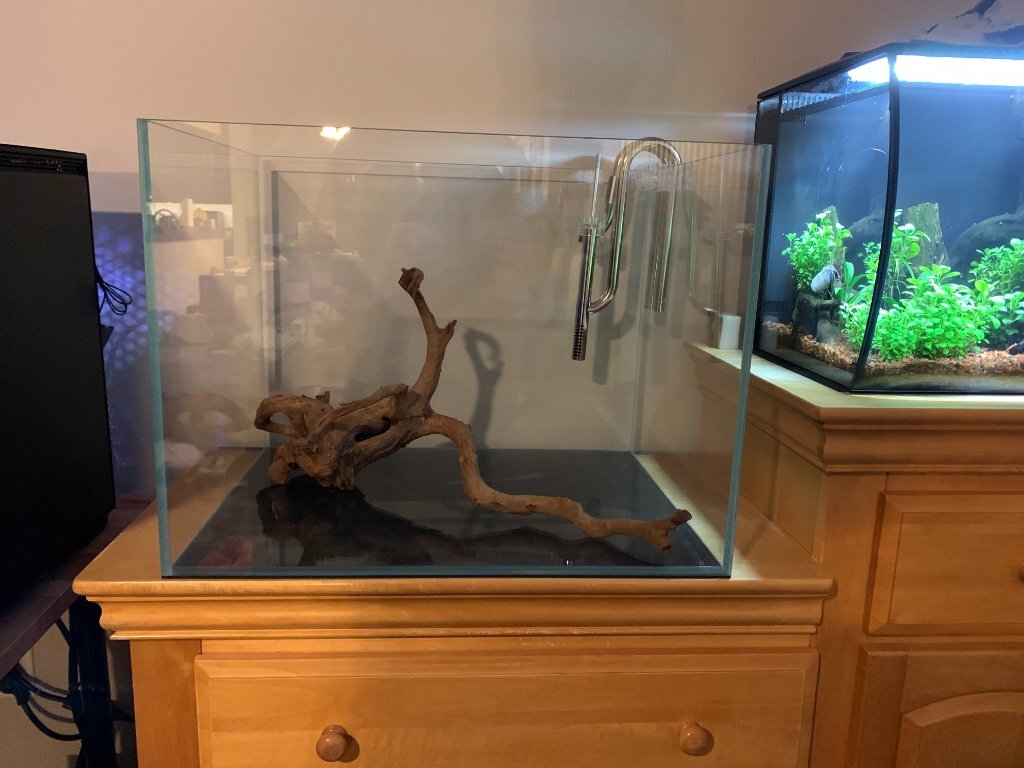 Light suggestion for Waterbox Clear Mini 30 - Plants, Algae, and ...