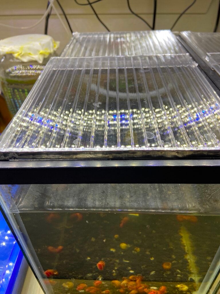 Tops/Lids for Fish Tanks - General Chat - Aquarium Co-Op Forum