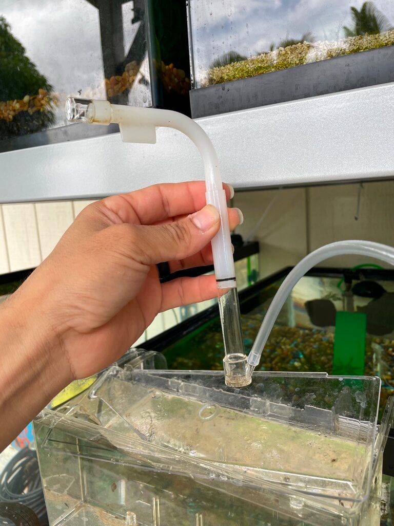Deans fry boxes? - Fish Breeding - Aquarium Co-Op Forum