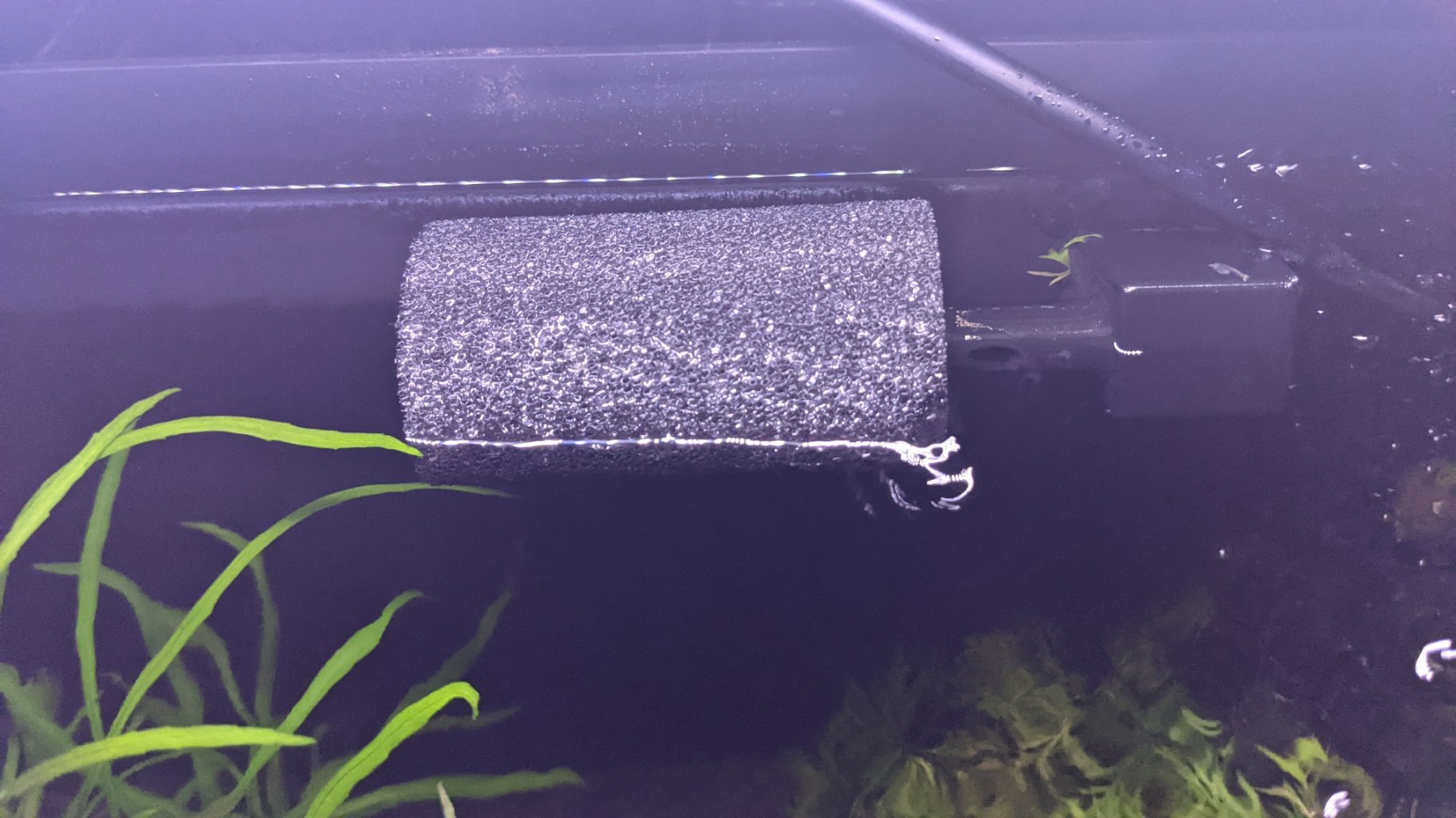 Quick DIY flow reducer for fluval flex tanks (or any tanks with nozzle ...