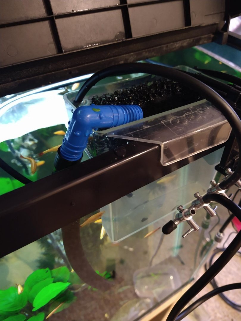 Deans fry boxes? - Page 2 - Fish Breeding - Aquarium Co-Op Forum