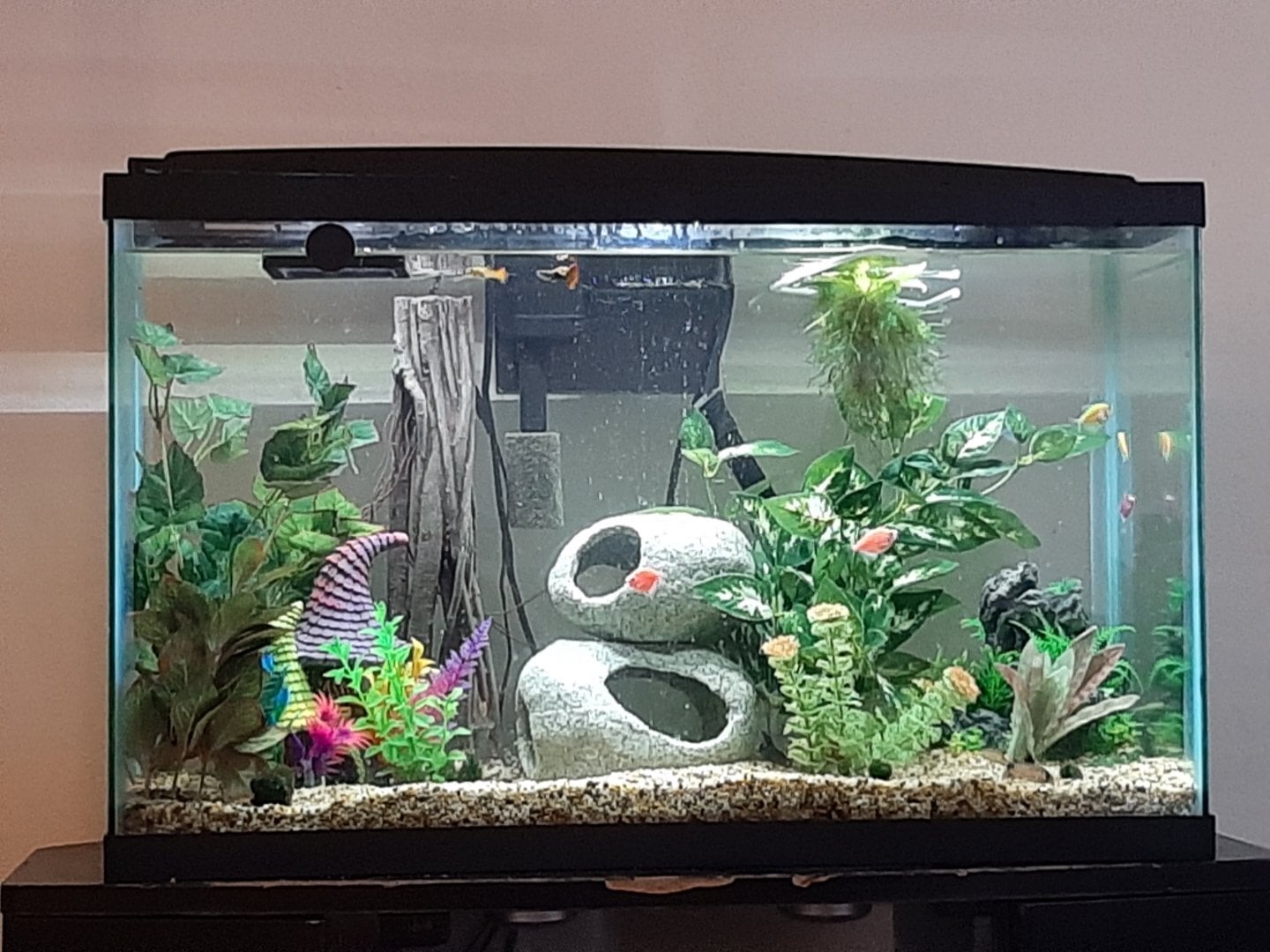 Mixing live and fake plants? - Plants, Algae, and Fertilizers ...
