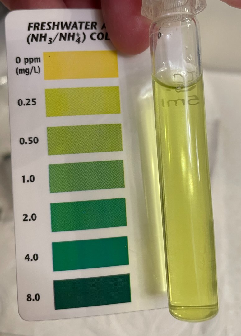 Easy Green & Ammonia? - Plants, Algae, and Fertilizers - Aquarium Co-Op ...