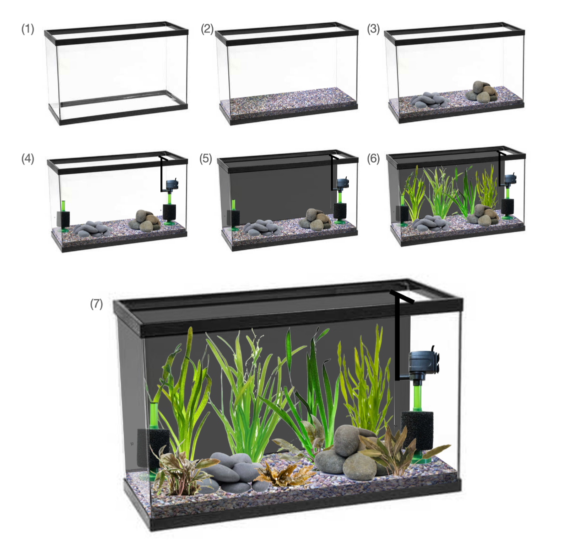 River tank - Photos, Videos & Journals - Aquarium Co-Op Forum