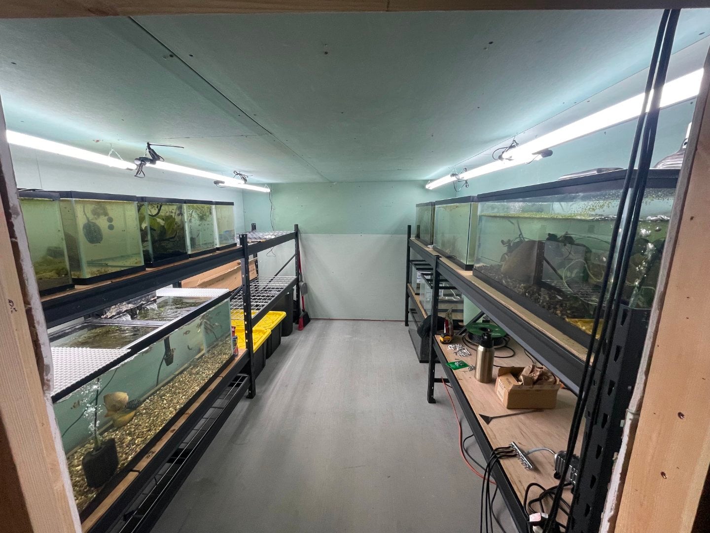 Fish Shed Build - Photos, Videos & Journals - Aquarium Co-Op Forum
