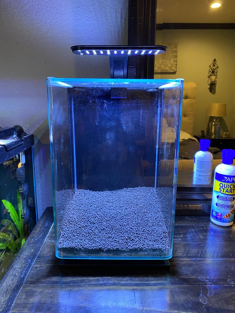 5.5 Gallon Shrimp Tank Mini Build - Photos, Videos & Journals ...