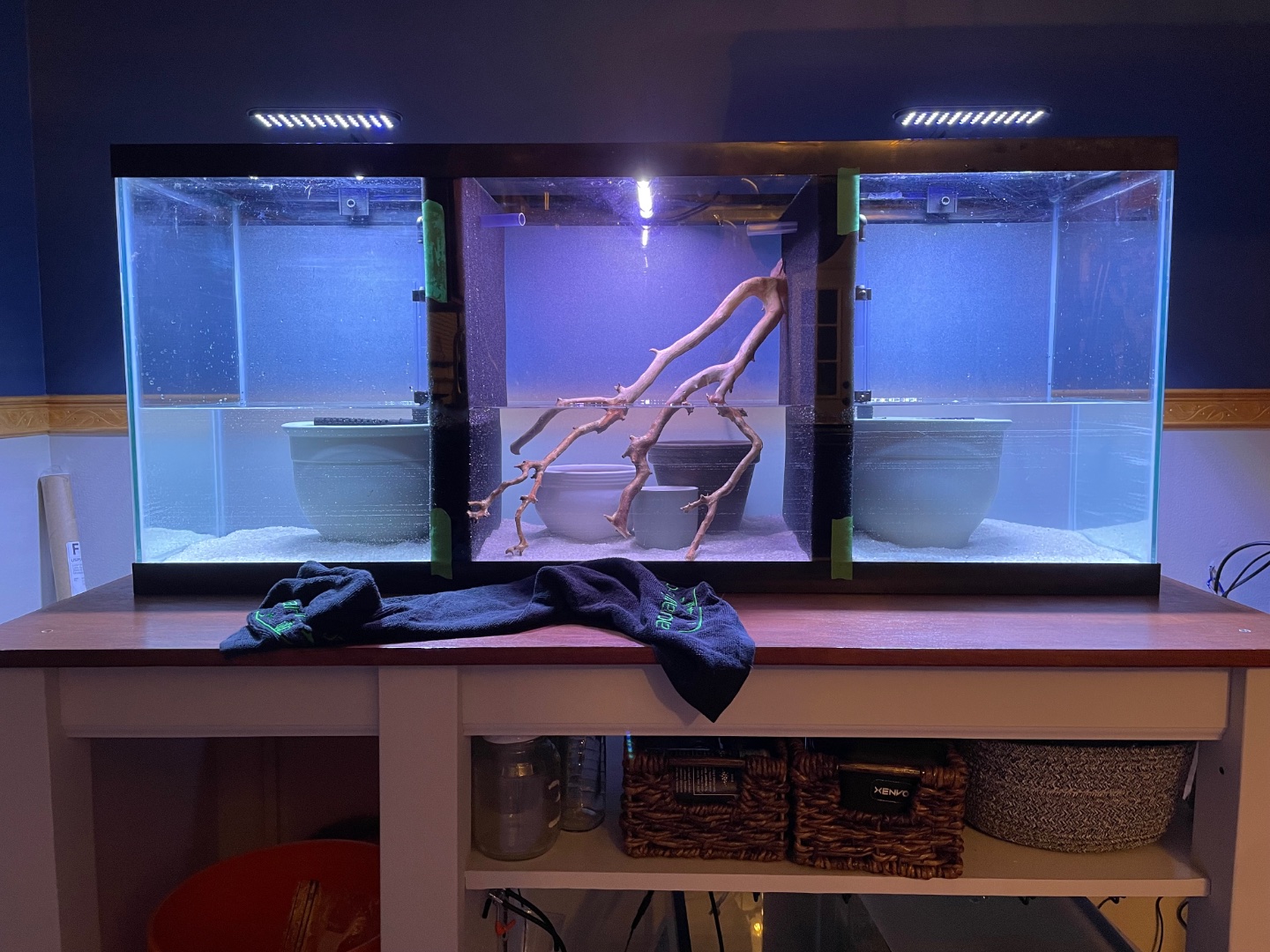 Best Breeding Setup - General Chat - Aquarium Co-Op Forum