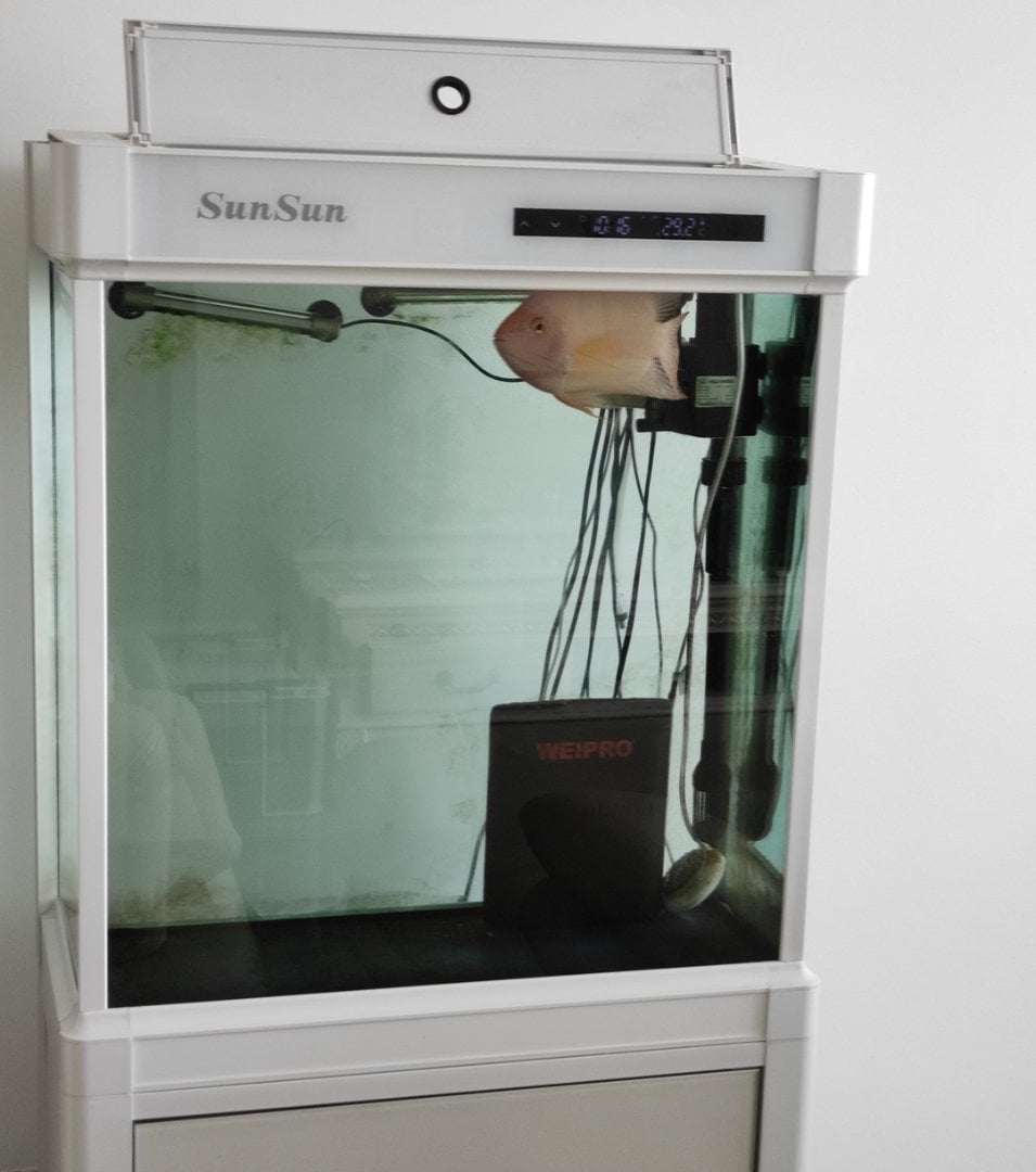 low iron fish tanks? - General Chat - Aquarium Co-Op Forum
