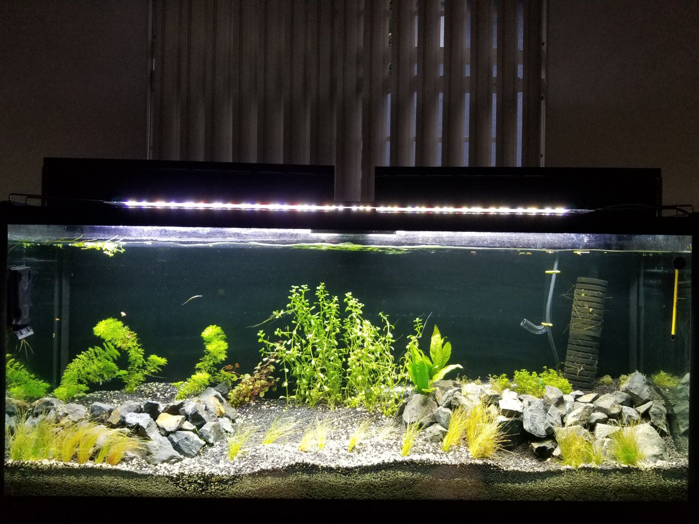 First time aquarium nitrate help - General Chat - Aquarium Co-Op Forum