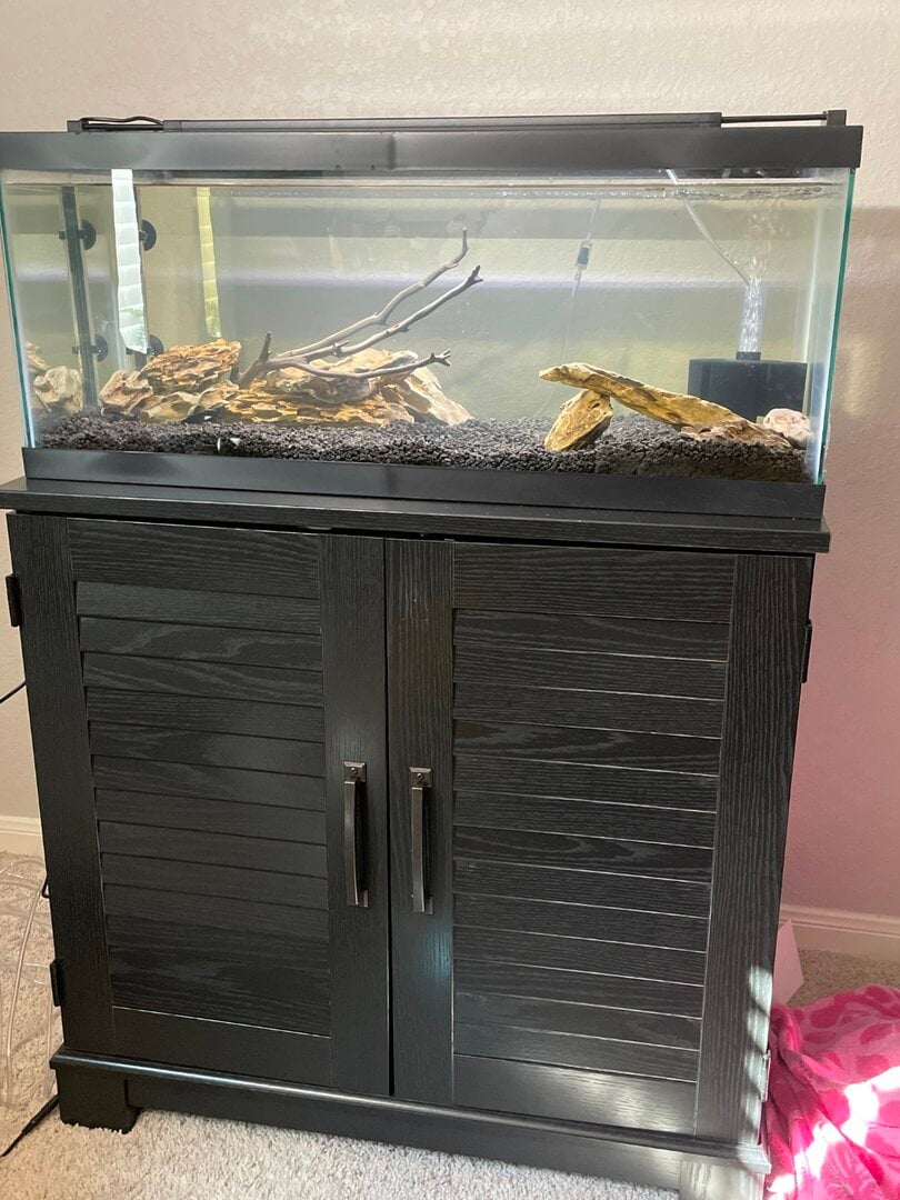 Fluval 3.0 light scheduling suggestions for 20g long planted tank ...