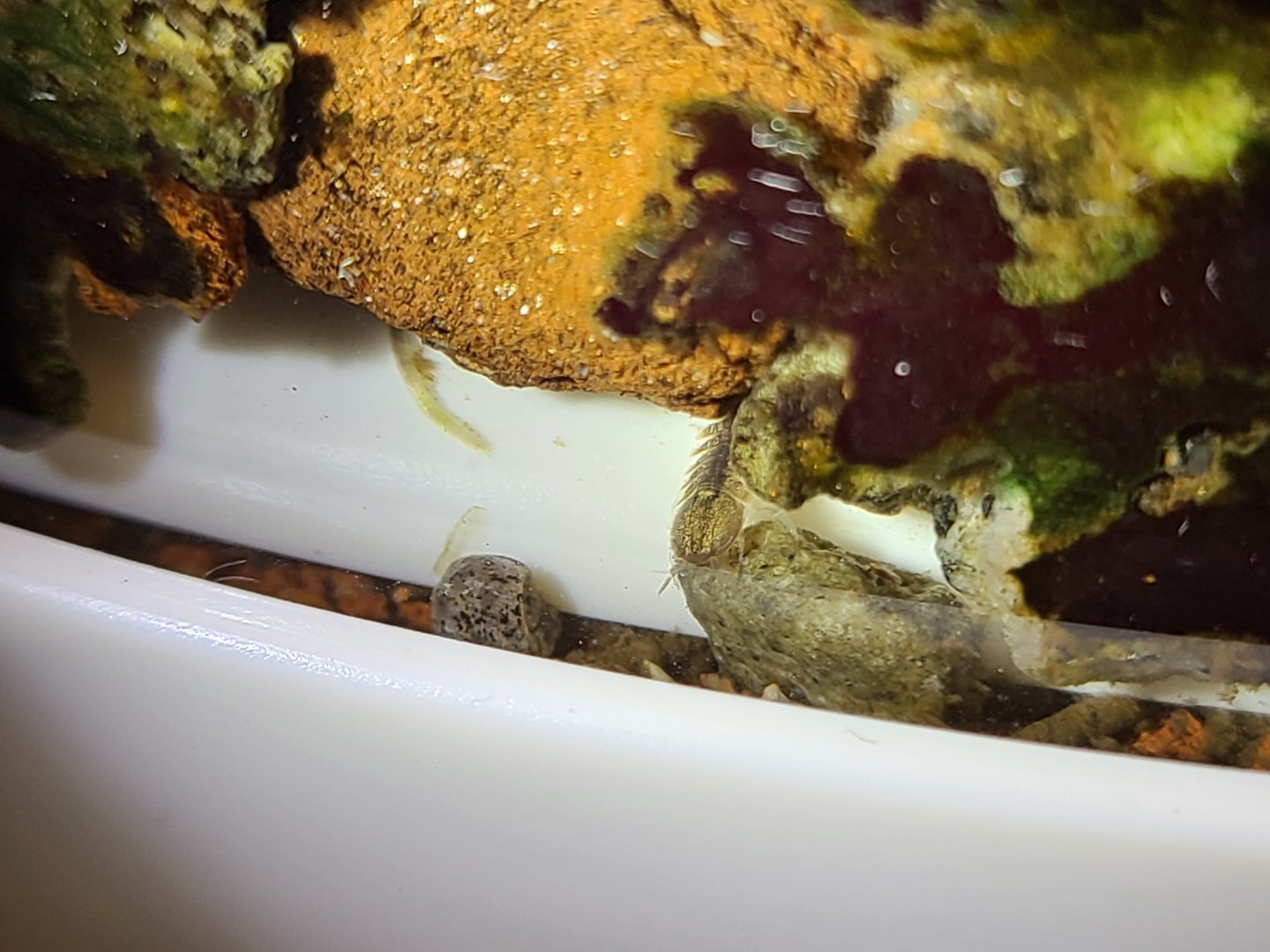 Cubicle tank - Photos, Videos & Journals - Aquarium Co-Op Forum