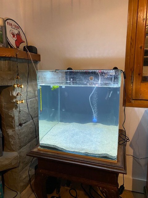 Cube tank 45x45x45cm / 90L - General Chat - Aquarium Co-Op Forum