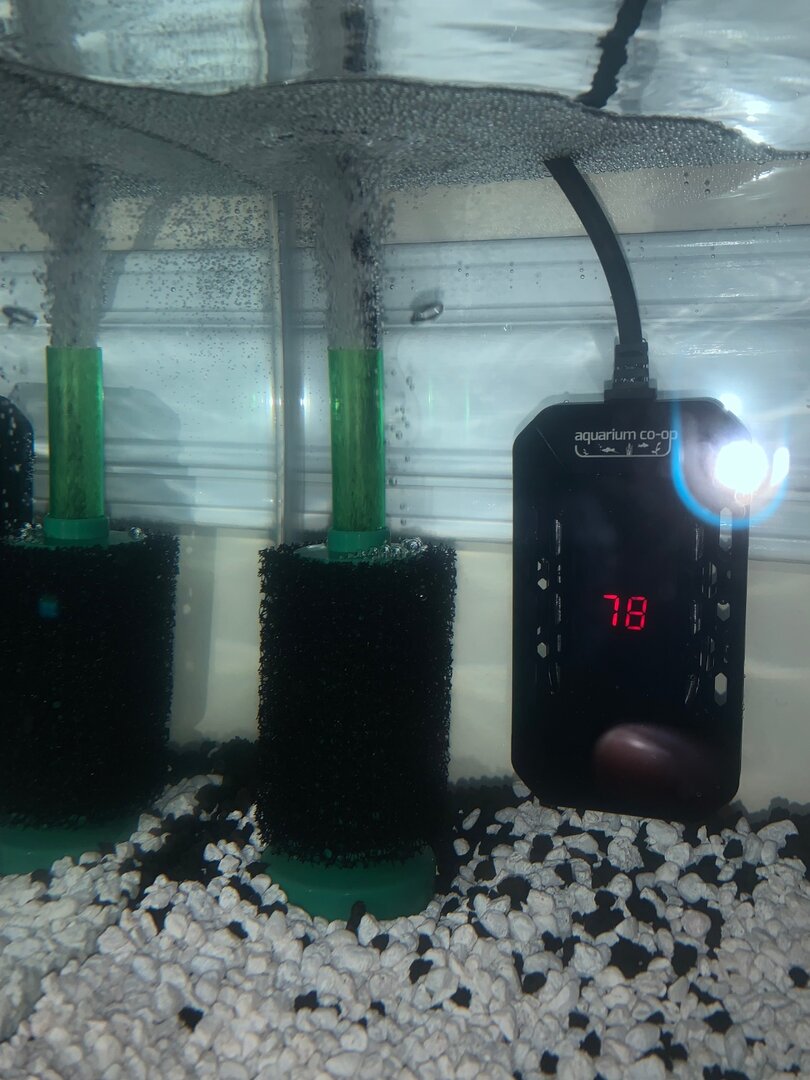 Strong air flow on nano pump? - General Chat - Aquarium Co-Op Forum