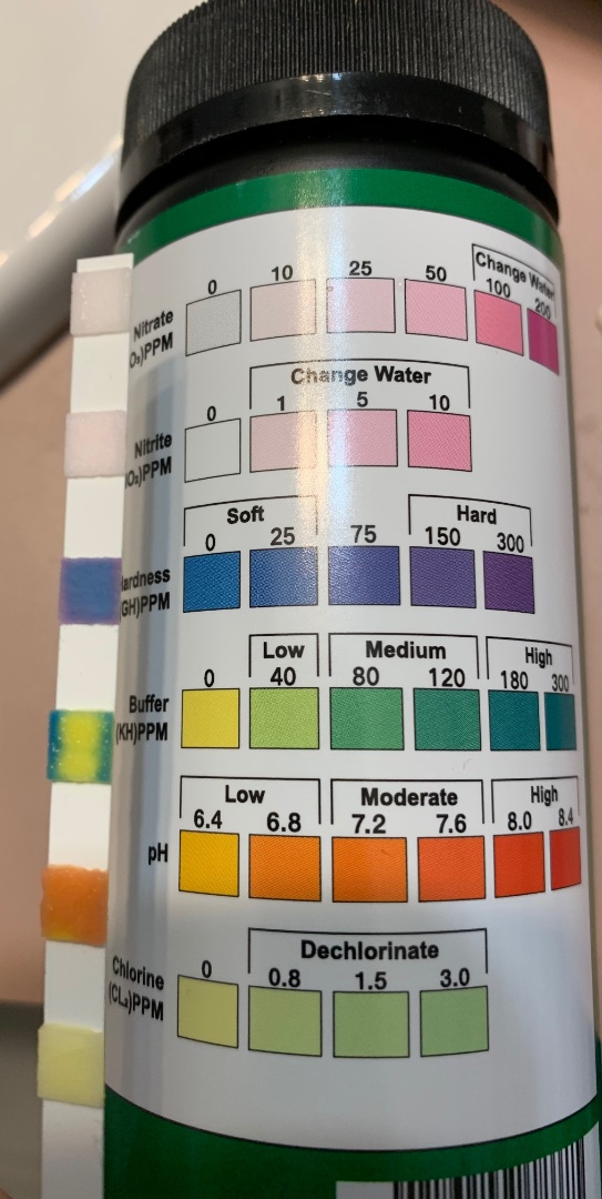 Strong air flow on nano pump? - General Chat - Aquarium Co-Op Forum