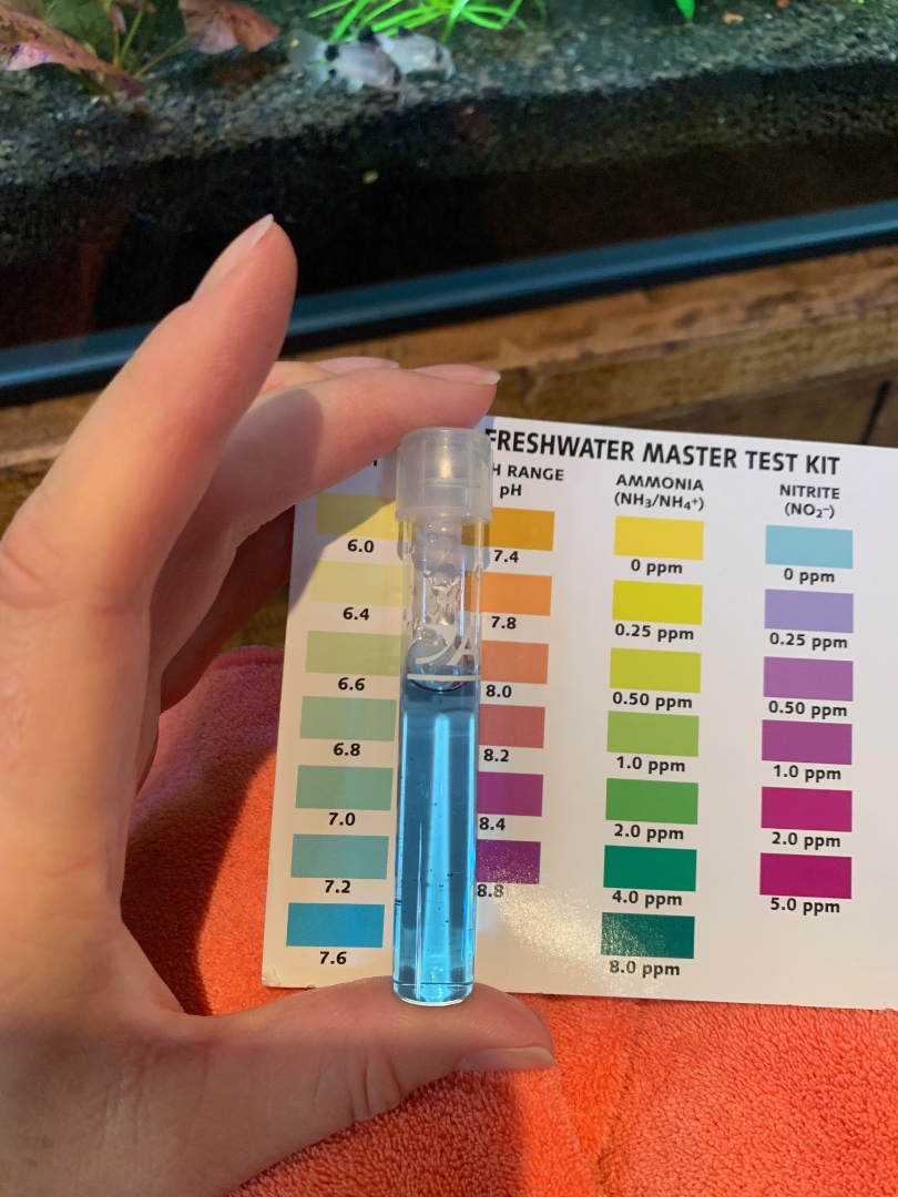 PH Tests - General Chat - Aquarium Co-Op Forum