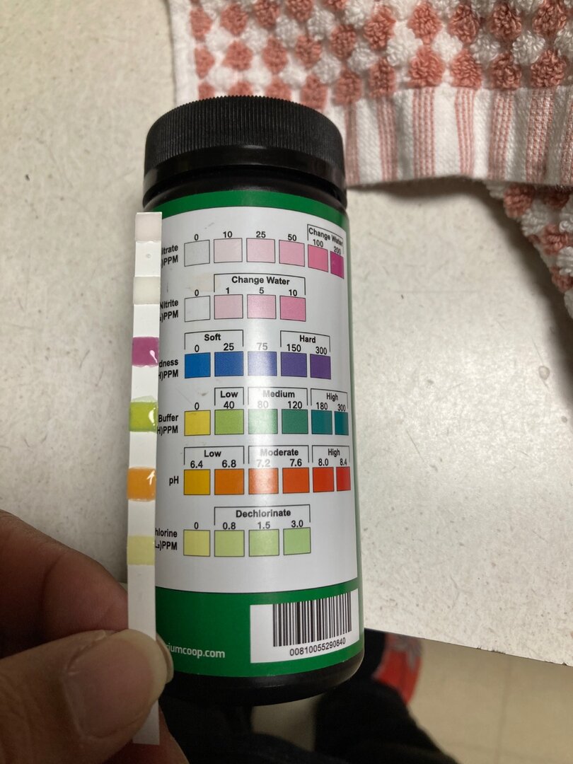 Fuzzy substance - General Chat - Aquarium Co-Op Forum