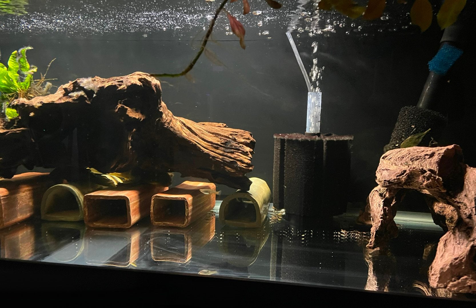 Roll or Spray Aquarium Back? - General Chat - Aquarium Co-Op Forum