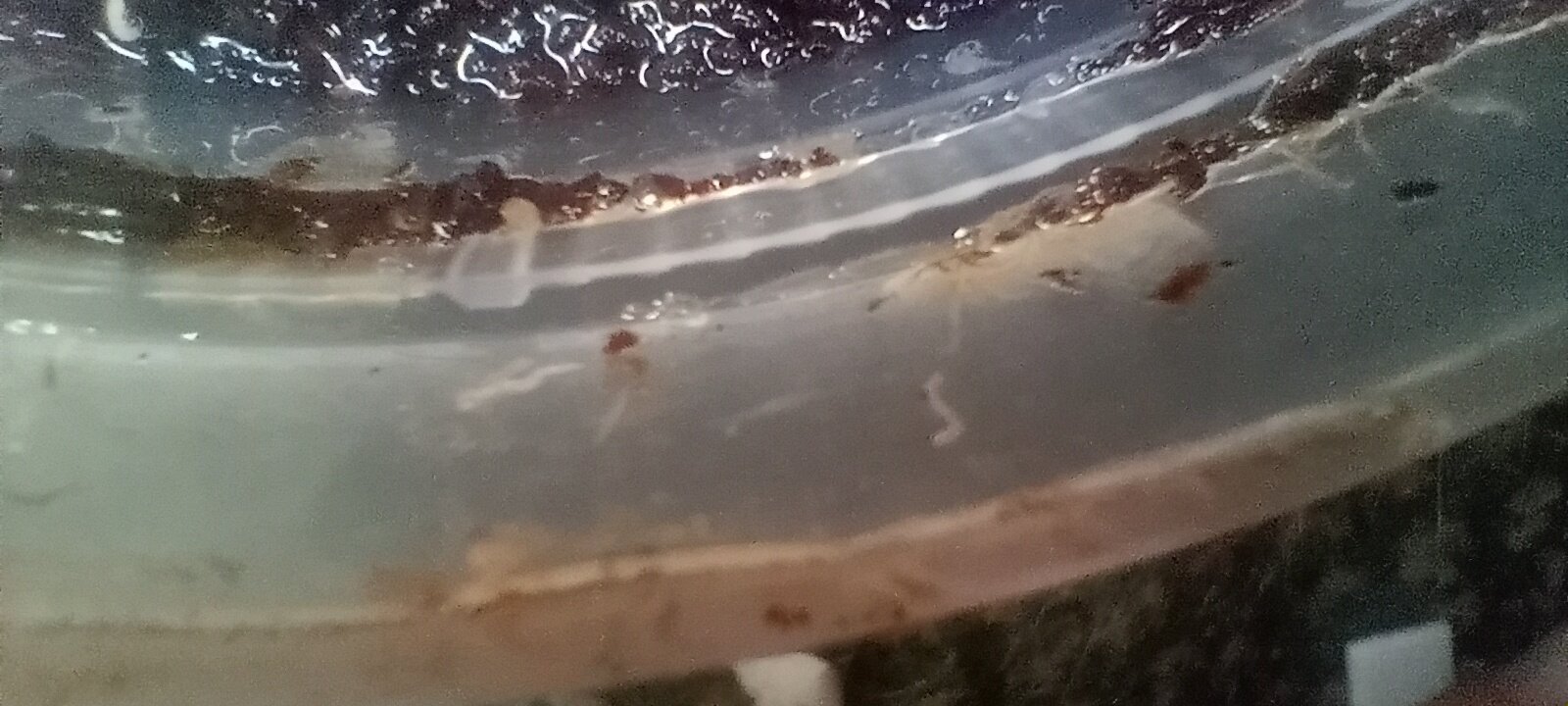 Hard question - Photos, Videos & Journals - Aquarium Co-Op Forum