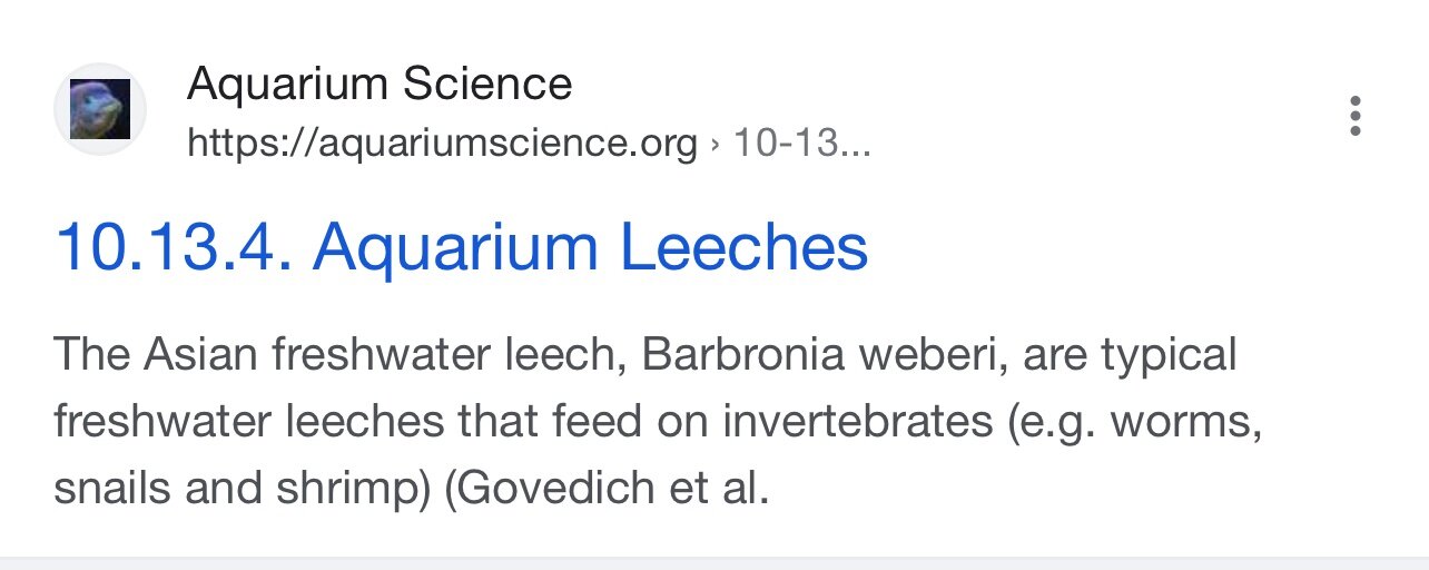 Help ! I found a leech in my leech-free tank. I WANT TO GET RID OF ALL ...