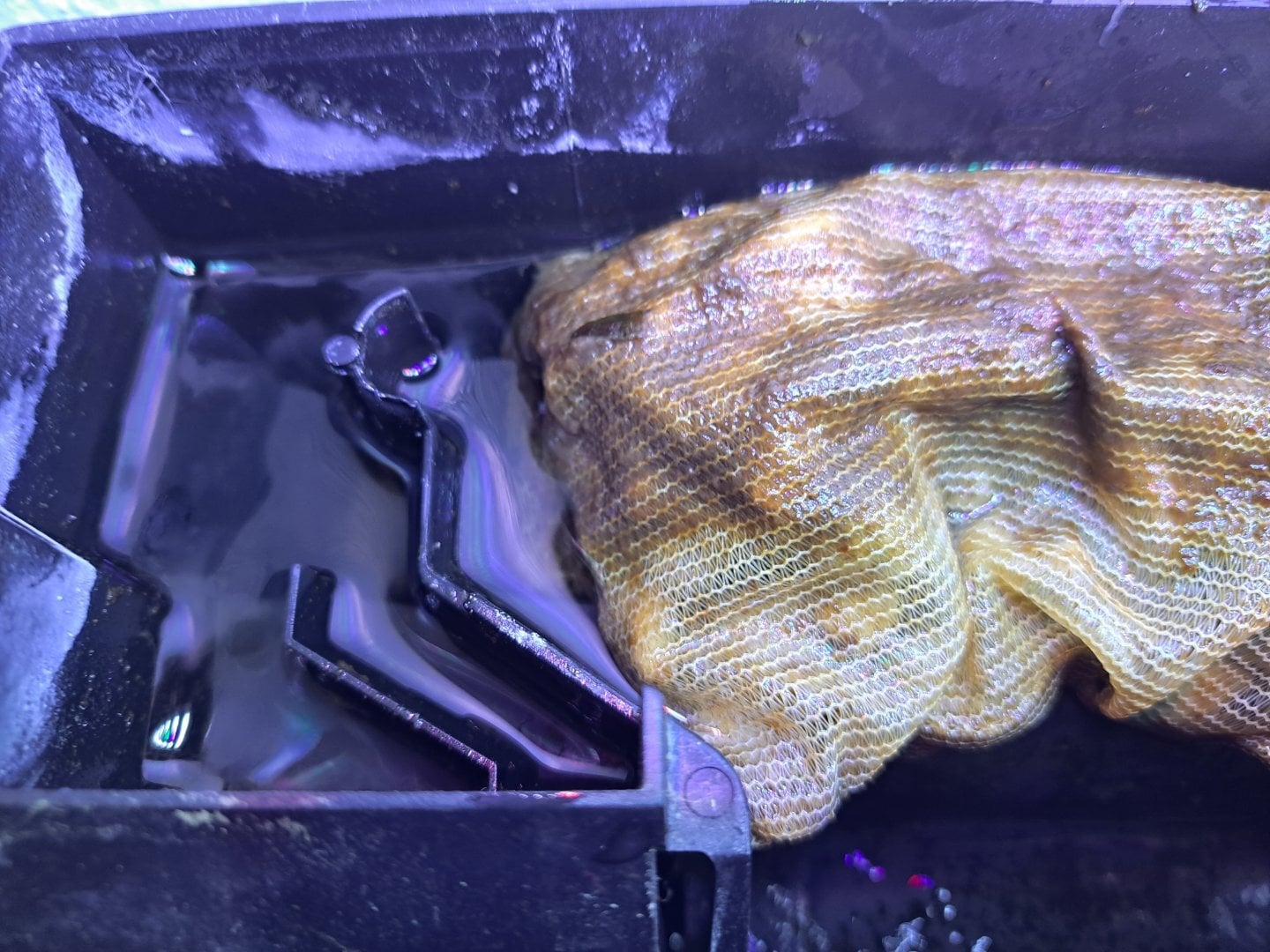 Crushed coral in filter - General Chat - Aquarium Co-Op Forum