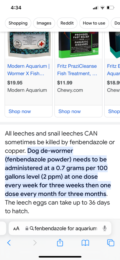 Leech in my tank? - General Chat - Aquarium Co-Op Forum