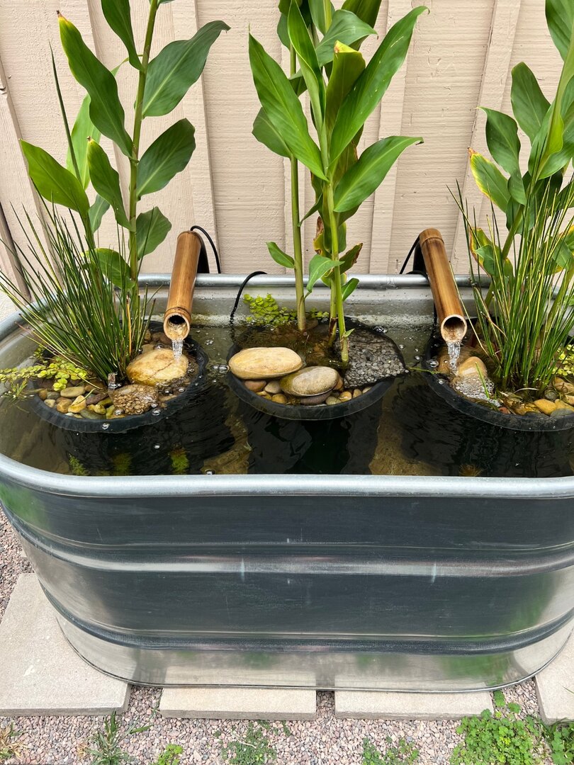 Muck tub deck pond - Photos, Videos & Journals - Aquarium Co-Op Forum