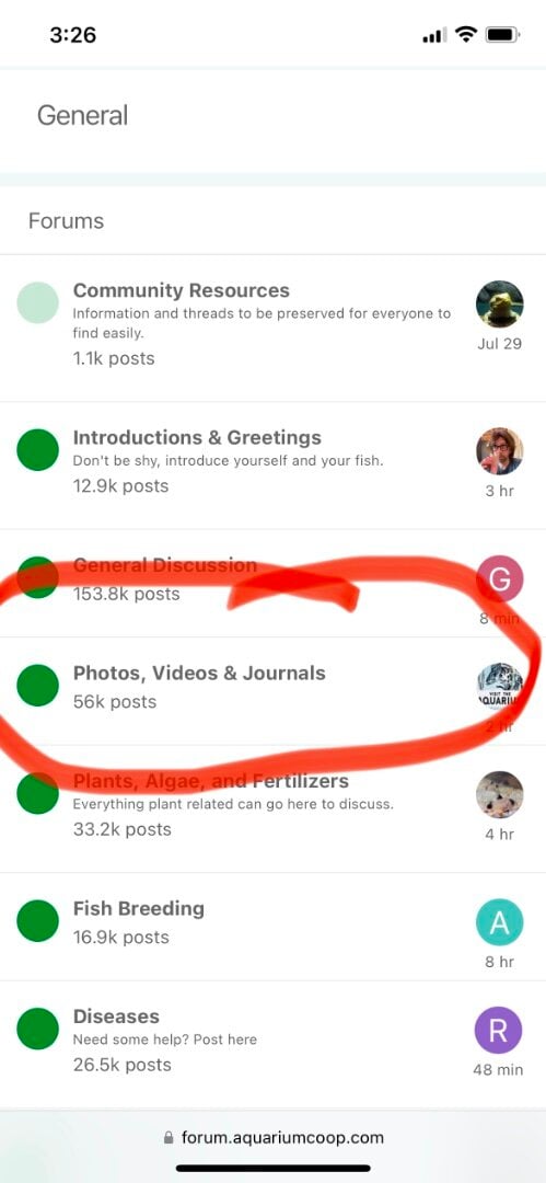 Getting to know members through journals - General Chat - Aquarium Co ...