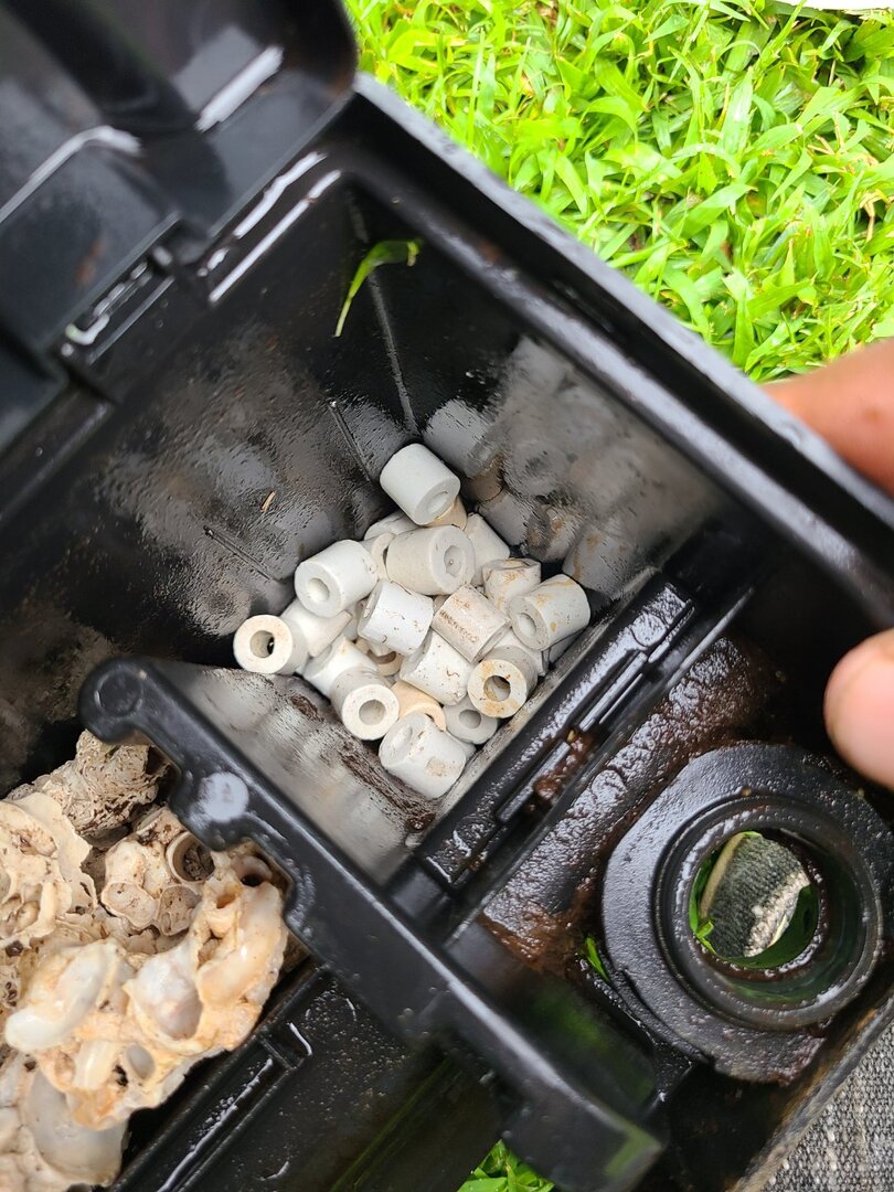 Wierd filter media - General Chat - Aquarium Co-Op Forum