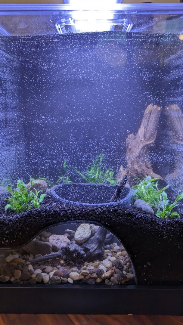 Desk Tank Setup - Photos, Videos & Journals - Aquarium Co-Op Forum