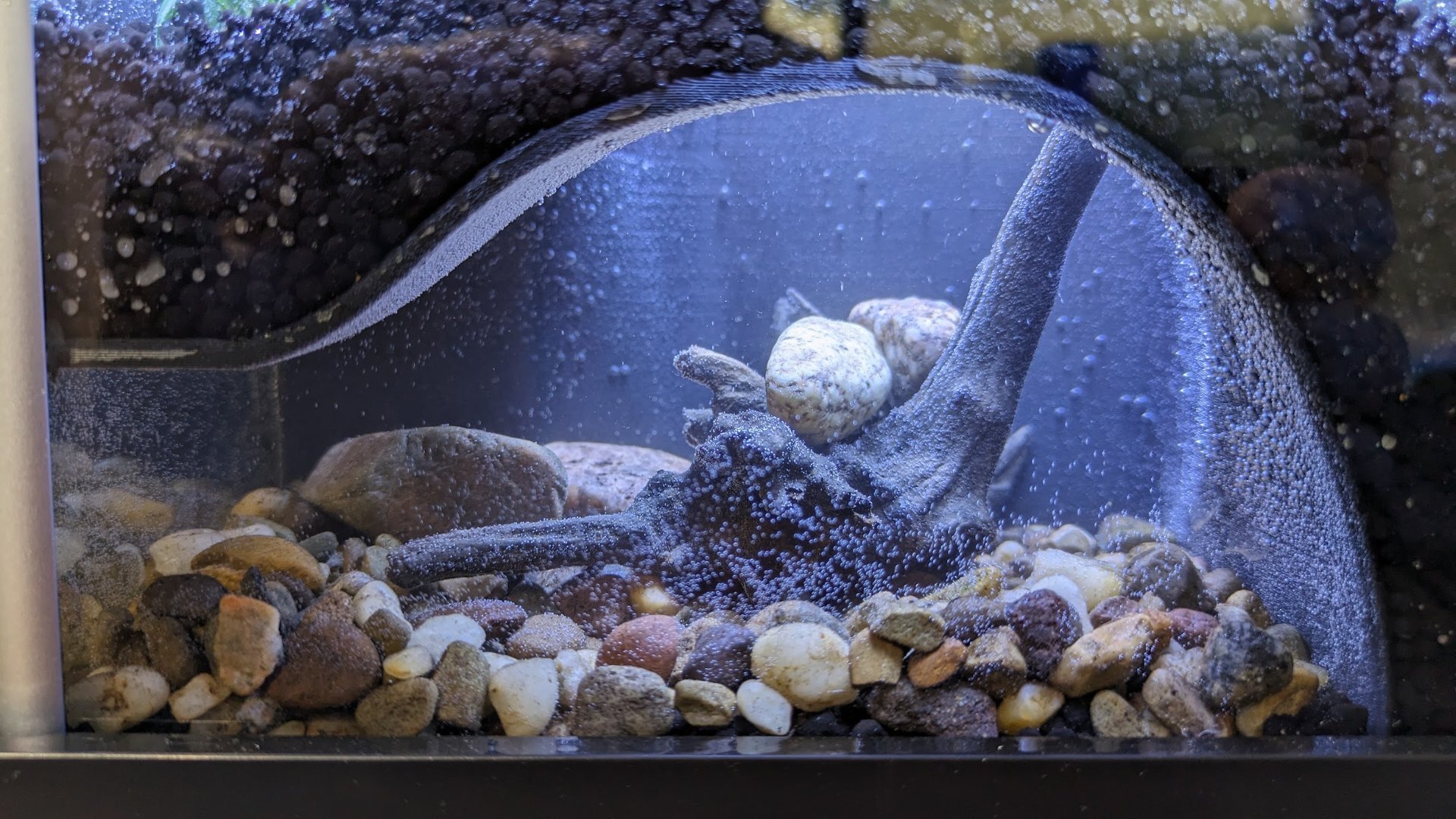 Desk Tank Setup - Photos, Videos & Journals - Aquarium Co-Op Forum