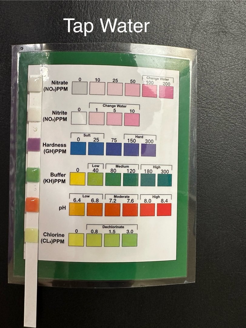 Switching Water Sources - General Chat - Aquarium Co-Op Forum