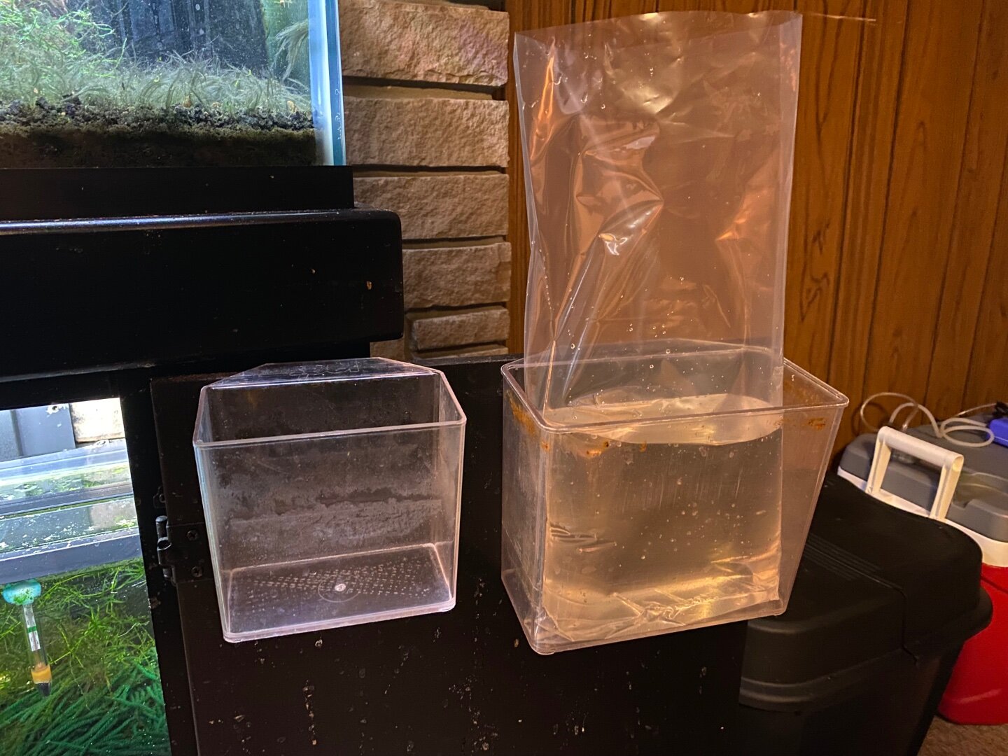 Shipping Fish Checklist - General Chat - Aquarium Co-Op Forum
