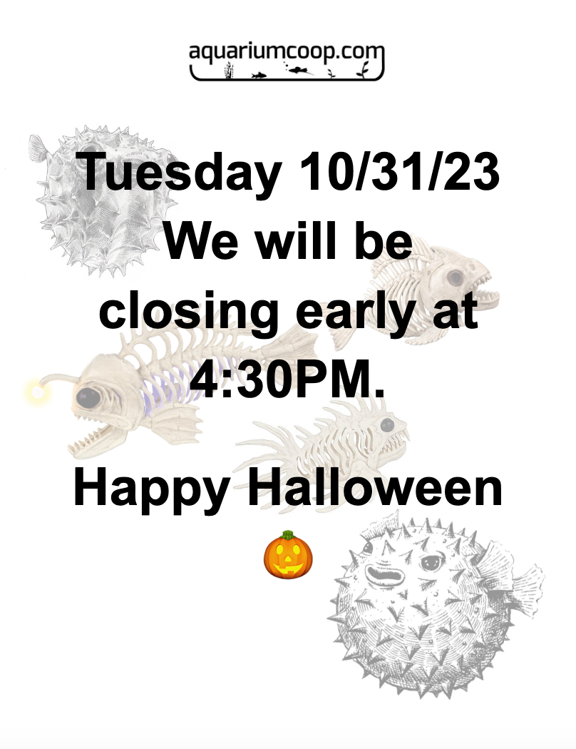 Halloween Store Hours 2023 - Washington - Aquarium Co-Op Forum