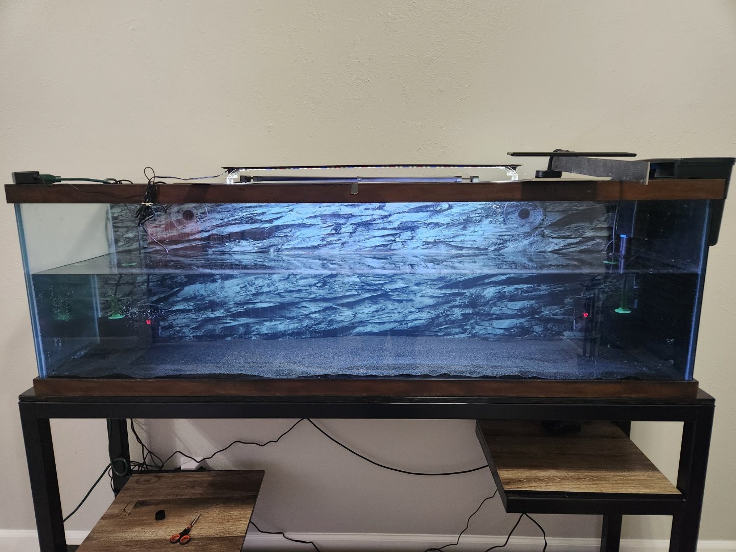 My 125gal lighting showdown! - Photos, Videos & Journals - Aquarium Co ...
