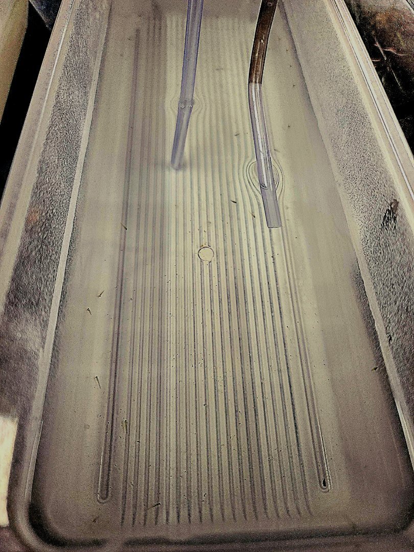 Building Dean's "Fry System" - Fish Breeding - Aquarium Co-Op Forum