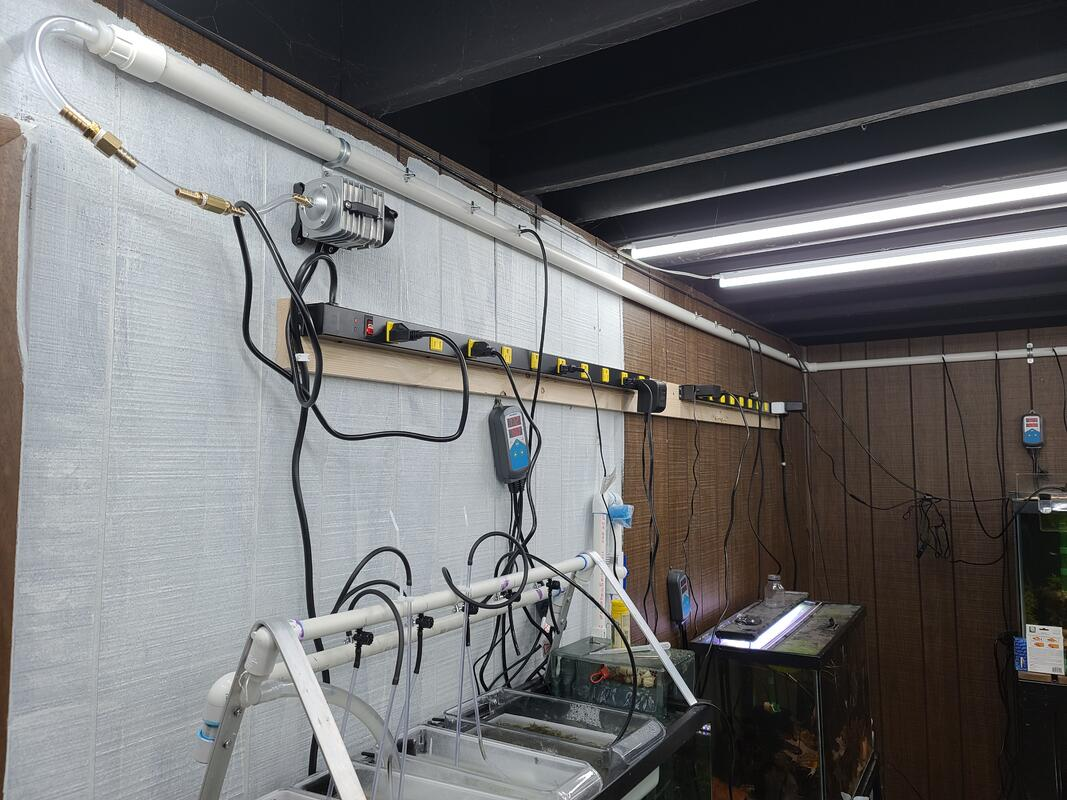 Air loop system , tips&trix - General Chat - Aquarium Co-Op Forum