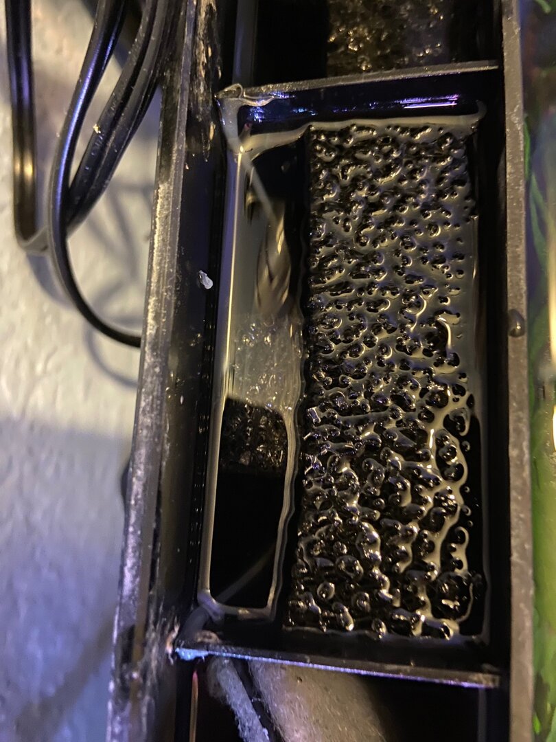 Can I switch from a hang on back filter to a sponge filter? - General ...