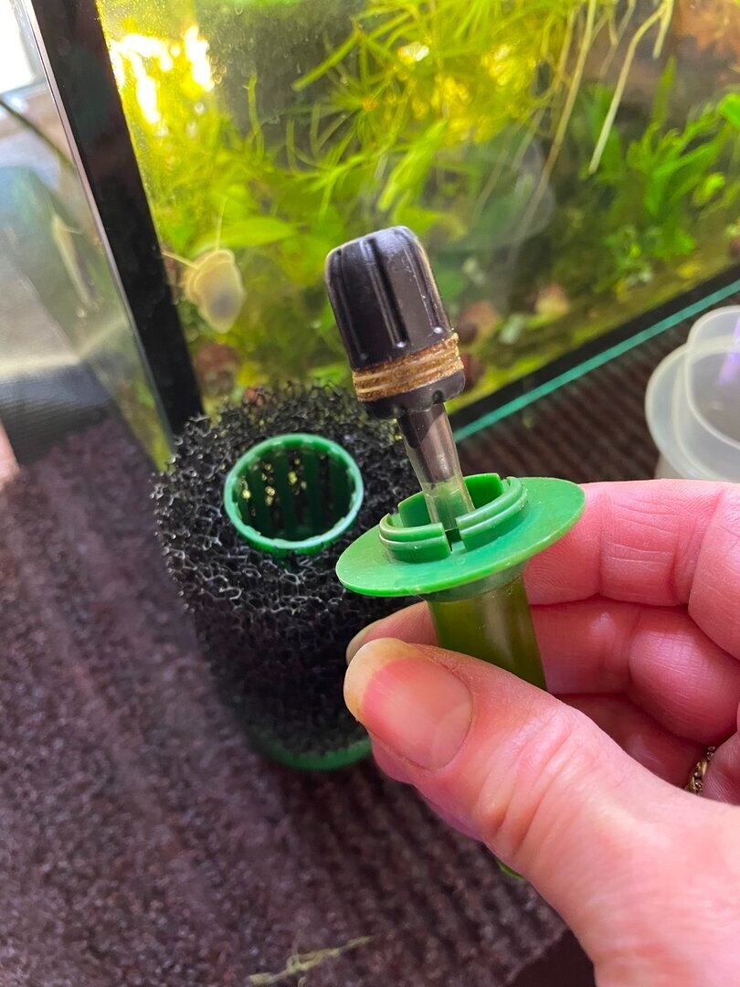 Cannot connect air stone to co-op sponge filter - General Chat ...