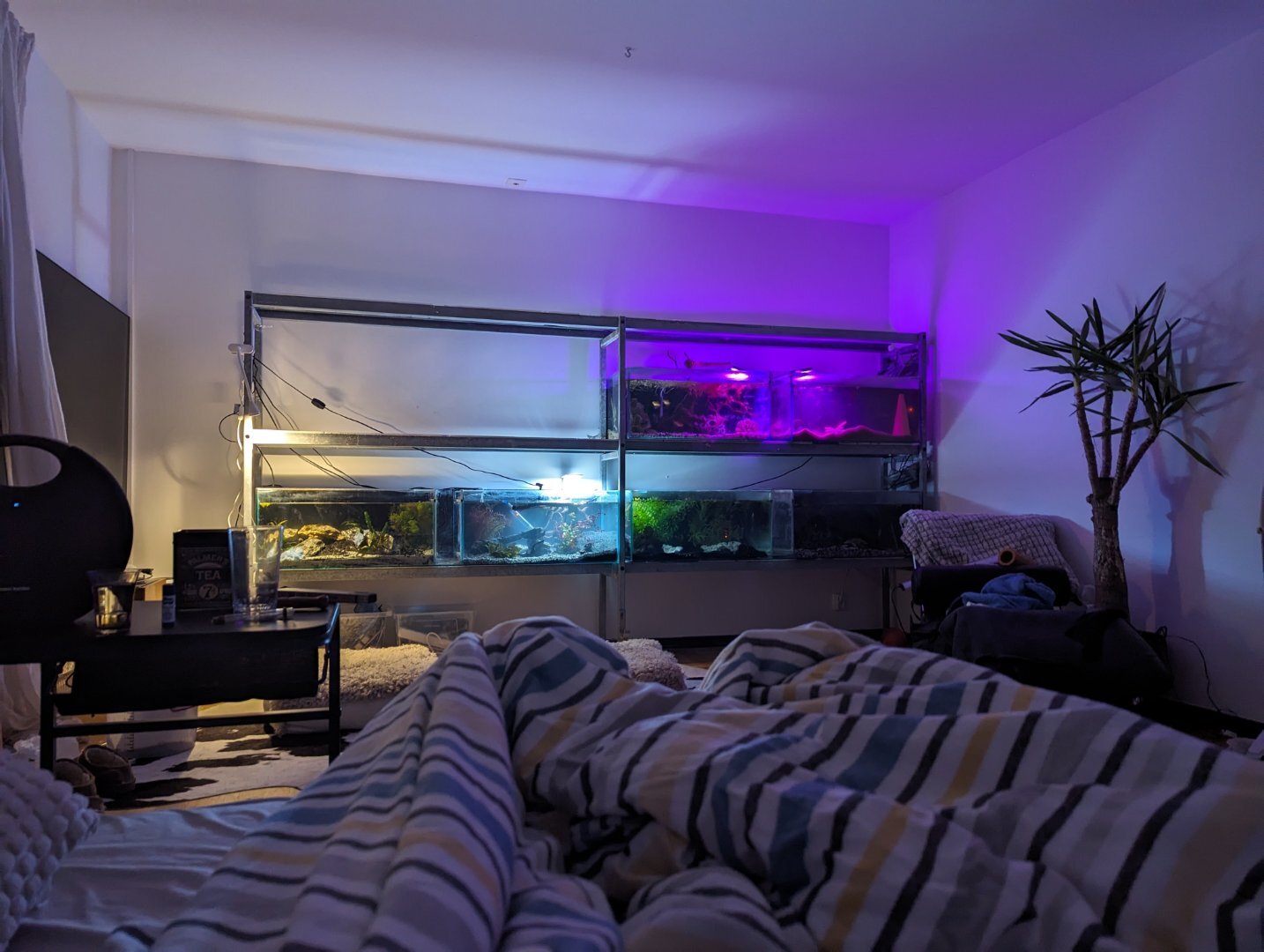 Air loop system , tips&trix - General Chat - Aquarium Co-Op Forum