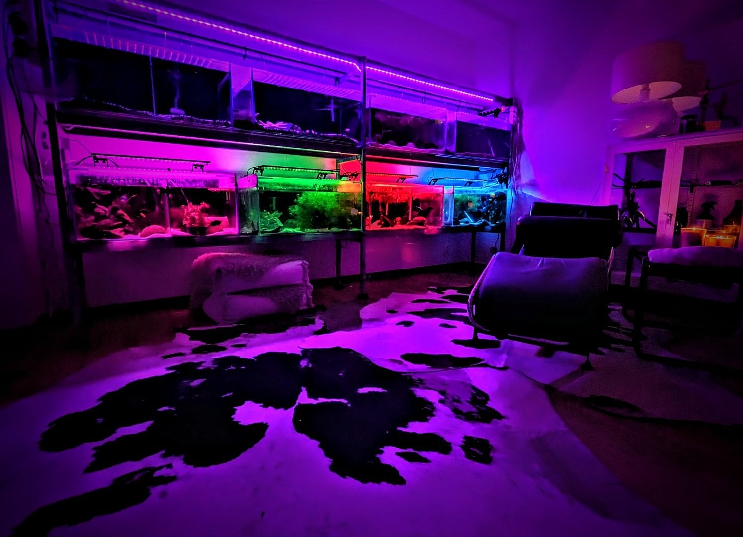Air loop system , tips&trix - General Chat - Aquarium Co-Op Forum