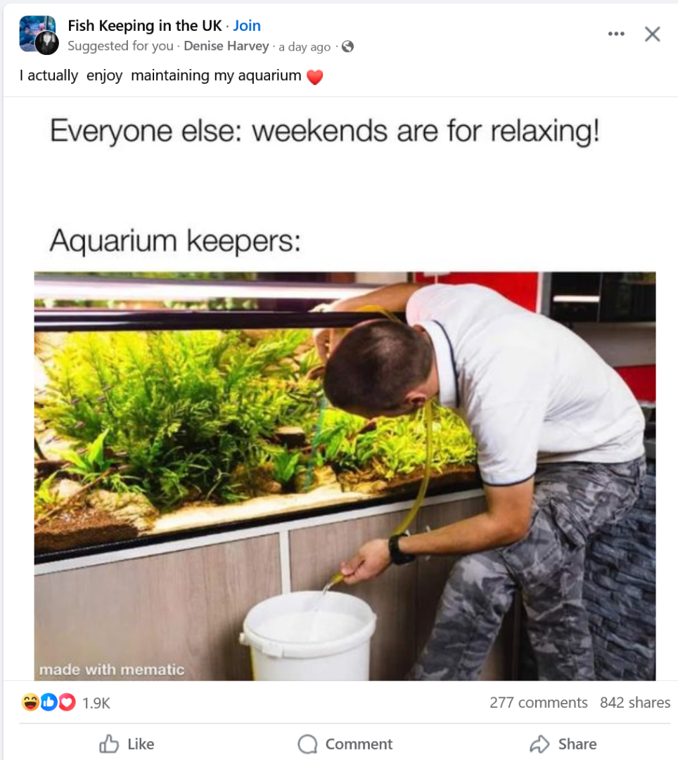 Sincere Opinion about having a Fishroom - General Chat - Aquarium Co-Op ...