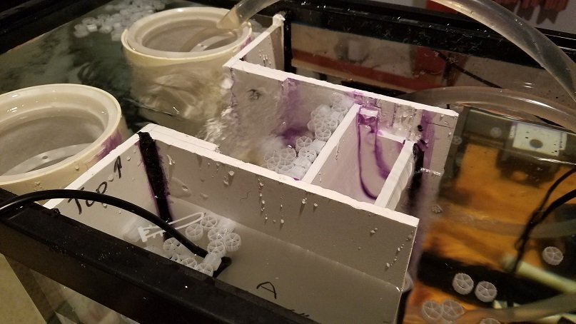 Acrylic wall/filter in rimless - General Chat - Aquarium Co-Op Forum