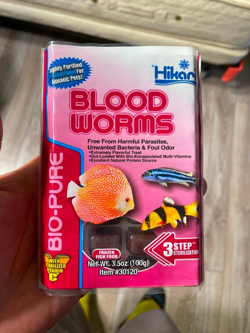 Bloodworms - General Chat - Aquarium Co-Op Forum