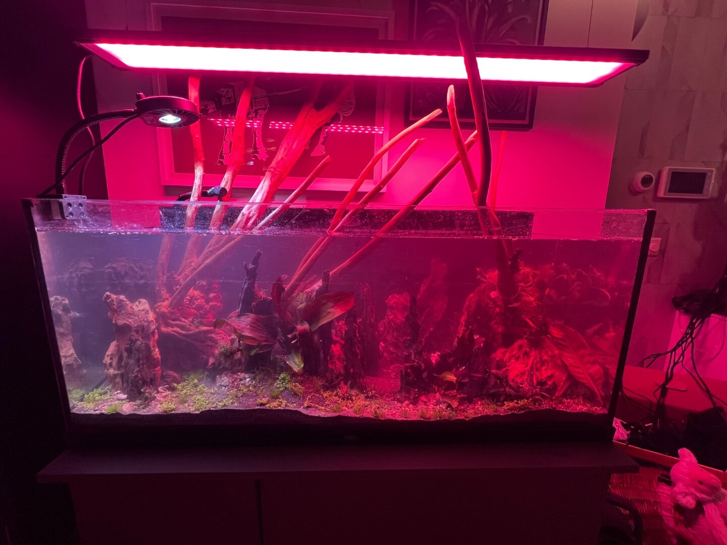 My 16 meters (50 feet) rack setup with 76 Tanks, Green Wall and 2 ...