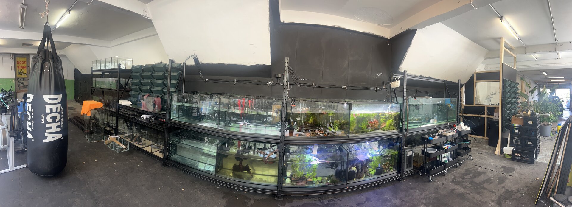 My 16 meters (50 feet) rack setup with 76 Tanks, Green Wall and 2 ...