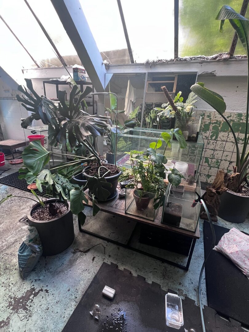 My 16 meters (50 feet) rack setup with 76 Tanks, Green Wall and 2 ...