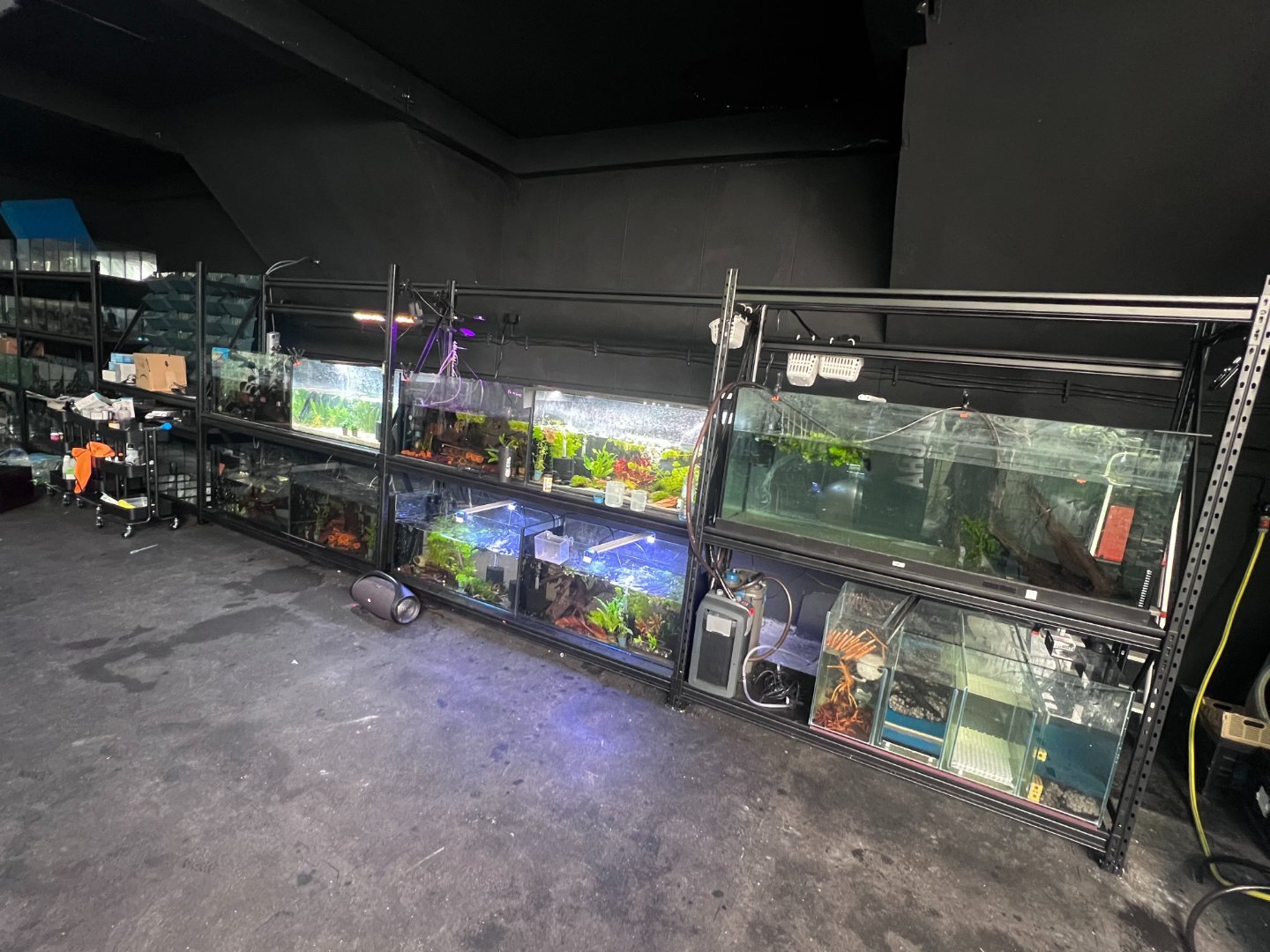 My 16 meters (50 feet) rack setup with 76 Tanks, Green Wall and 2 ...
