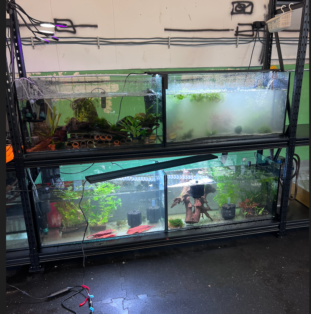 My 16 meters (50 feet) rack setup with 76 Tanks, Green Wall and 2 ...