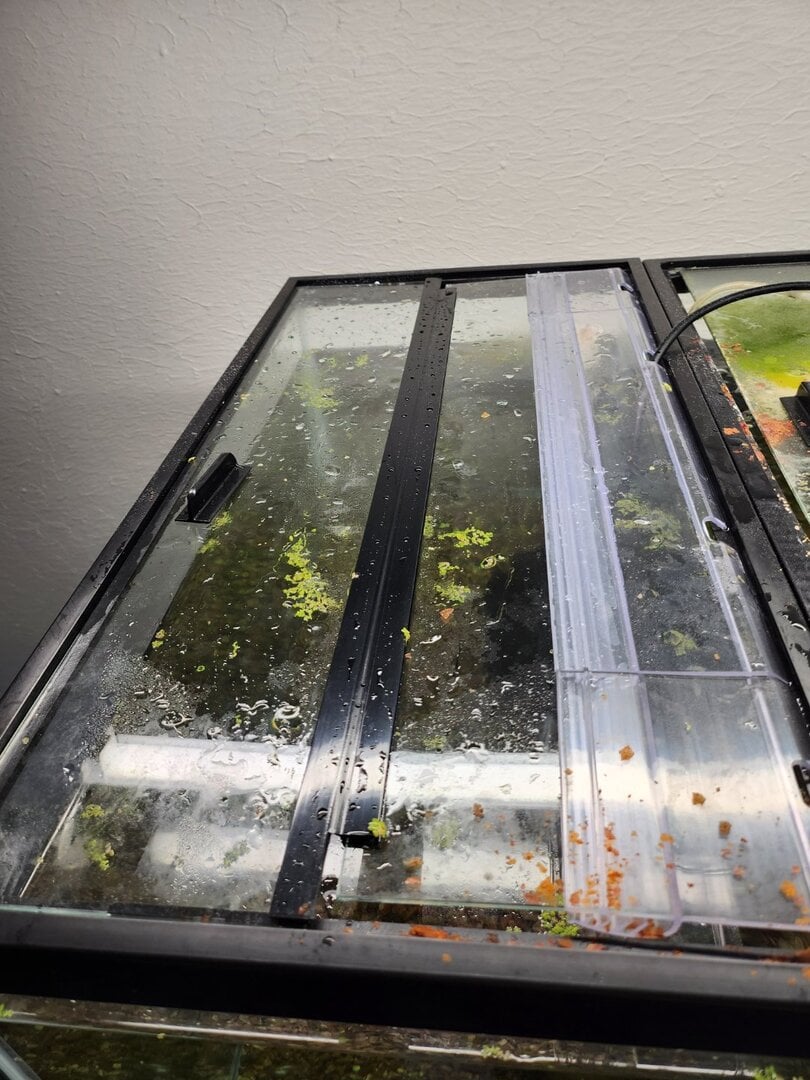 Top Fin (Petsmart) Glass Lid PSA - General Chat - Aquarium Co-Op Forum